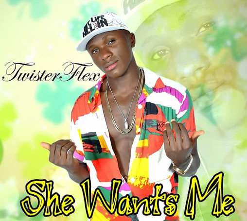 Rising Music Star, Twisterflex Drops New Single - P.M.EXPRESS