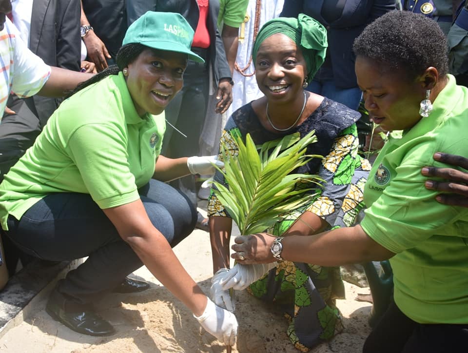 Tree Planting, An Efficient Tool To Tackle Climate Change, Global ...