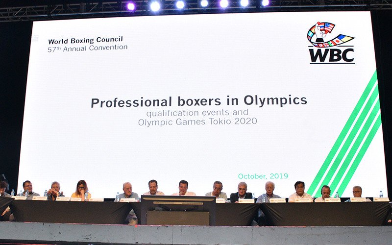 Don't Allow Pros At 2020 Olympics, WBC Warns IOC - P.M.EXPRESS