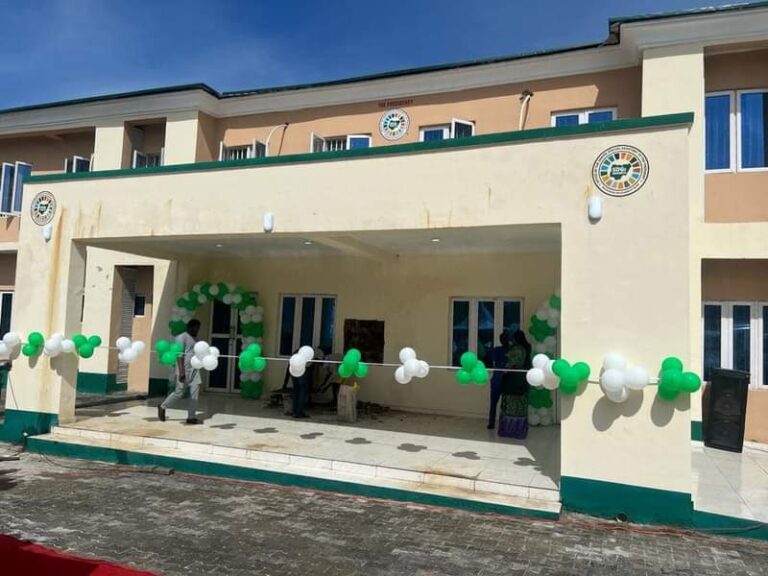 Ipetumodu Glows As 80-Bed Hospital Is Commissioned - P.M.EXPRESS