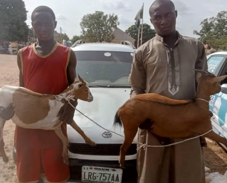 We Only Specialized In Stealing Goats - 2 Arrested Suspects Confess - P ...